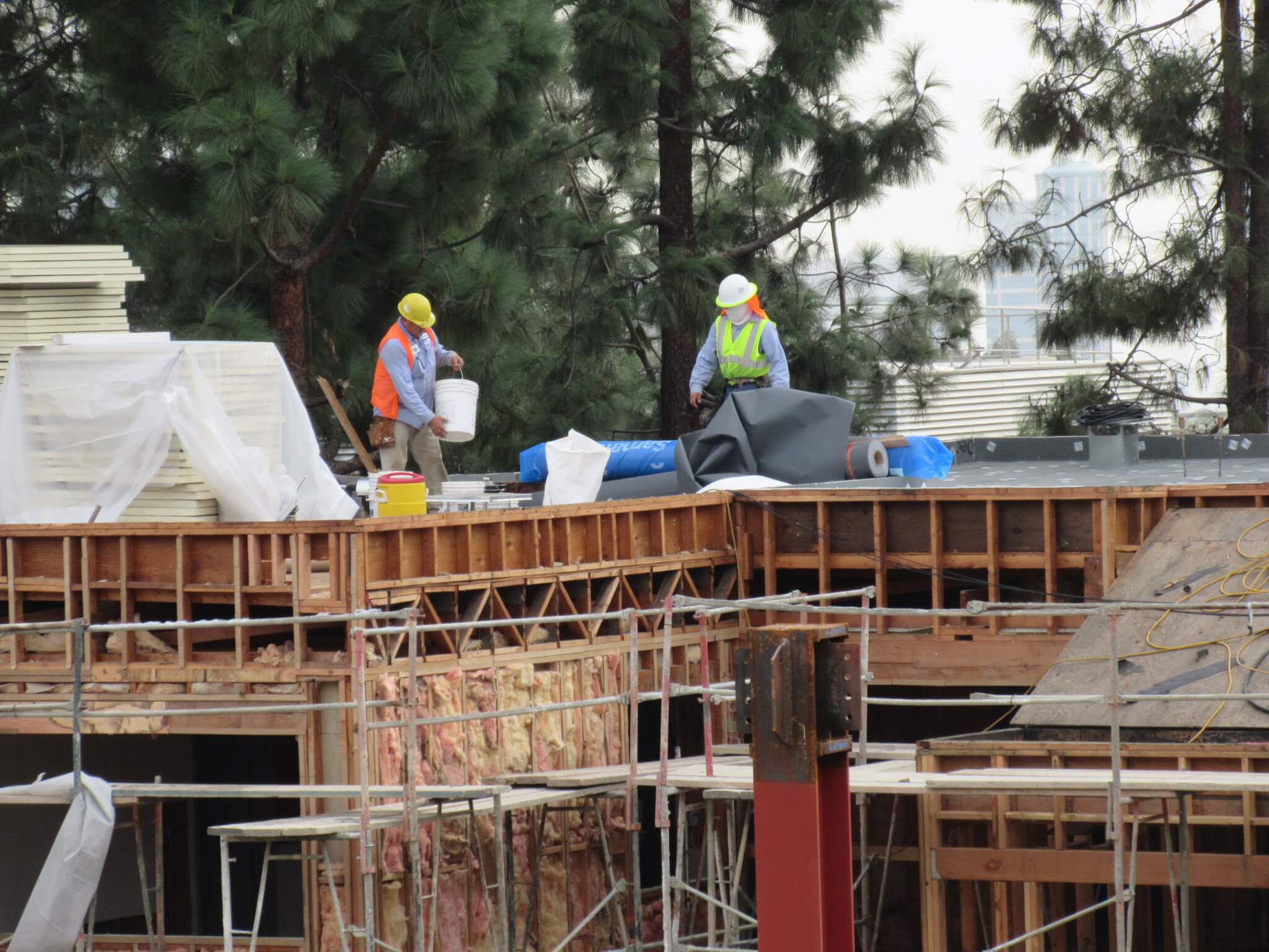 UCLA Saxon Suites | Whitmore Architects